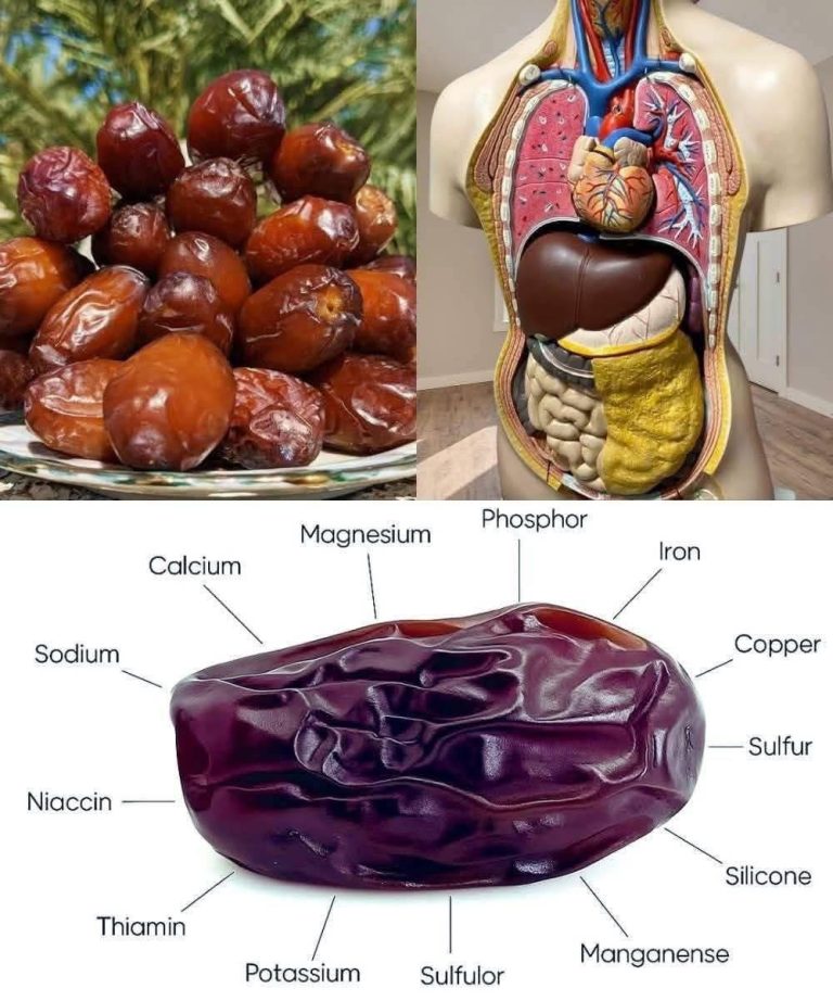 A Healthy and Delicious Way to Enjoy Dates in Your Diet – Just Cook
